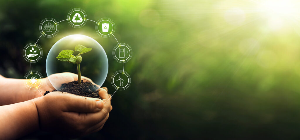 7 Simple Ways to Show Your Love for the Environment