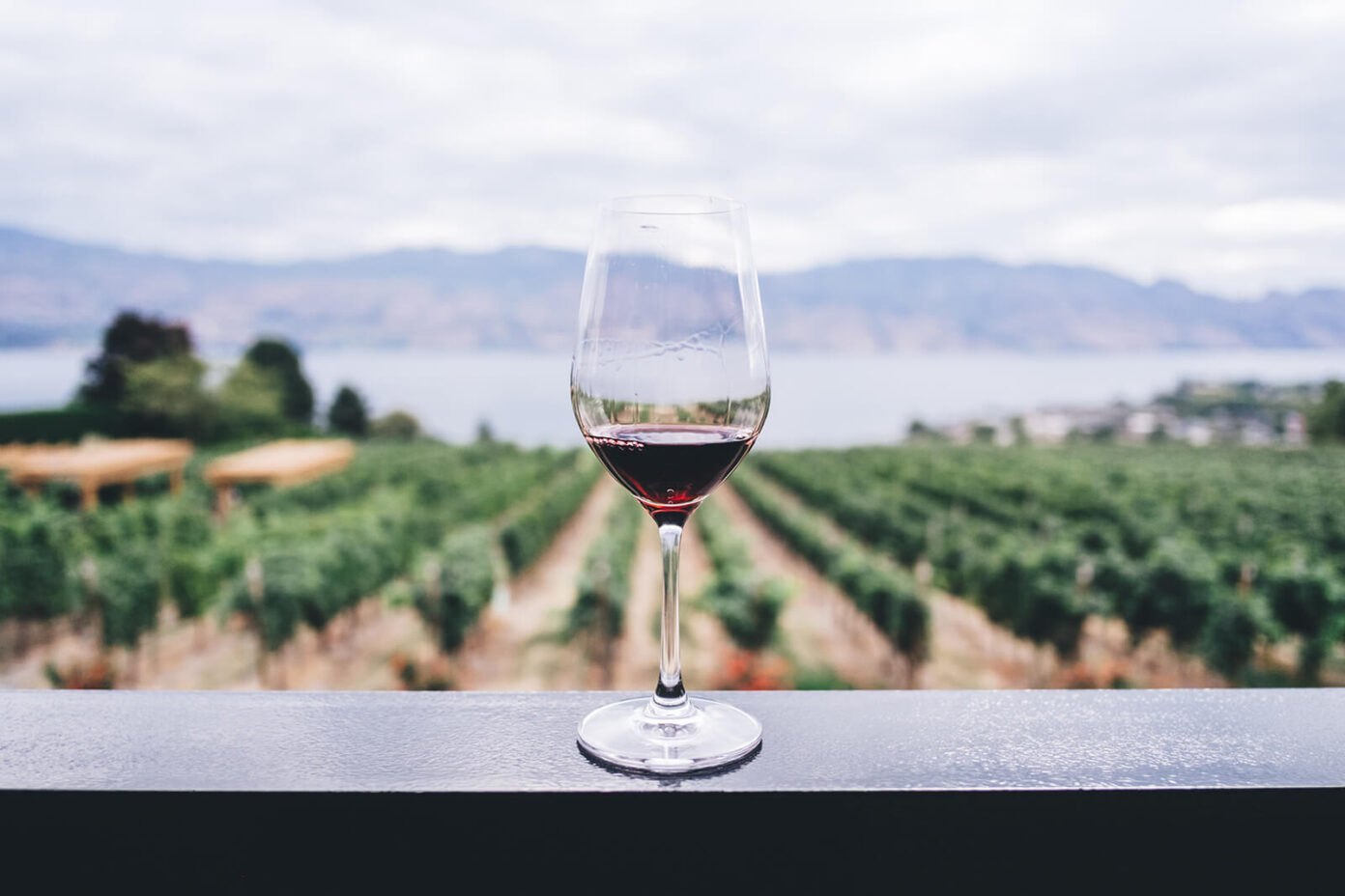 A Guide to Drinking Red Wine