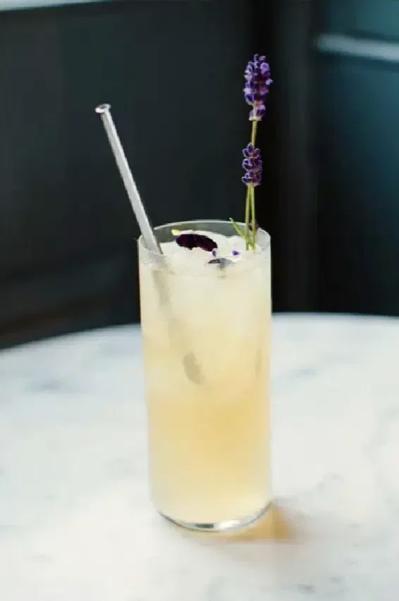 Parabola Apple: The Newt’s Signature Sip of Somerset